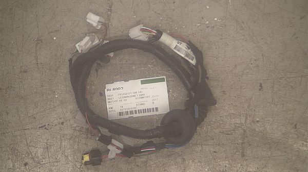 Peugeot 108 Kabelbaum für Tür gebraucht kaufen | Autoparts24