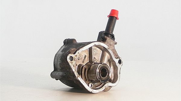 651925: Onderdrukpomp, Luchtmassameter, Spiegelhuis, Luchtfilter, EGR ...