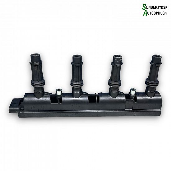 19005362 : Zündspule elektrisch und Steuergerät elektr. Zündung ...