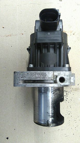 55570005 : Egr ventil og Katalysator elboks - Autoparts24