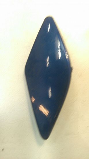 Renault - Bumperrooster | Autoparts24