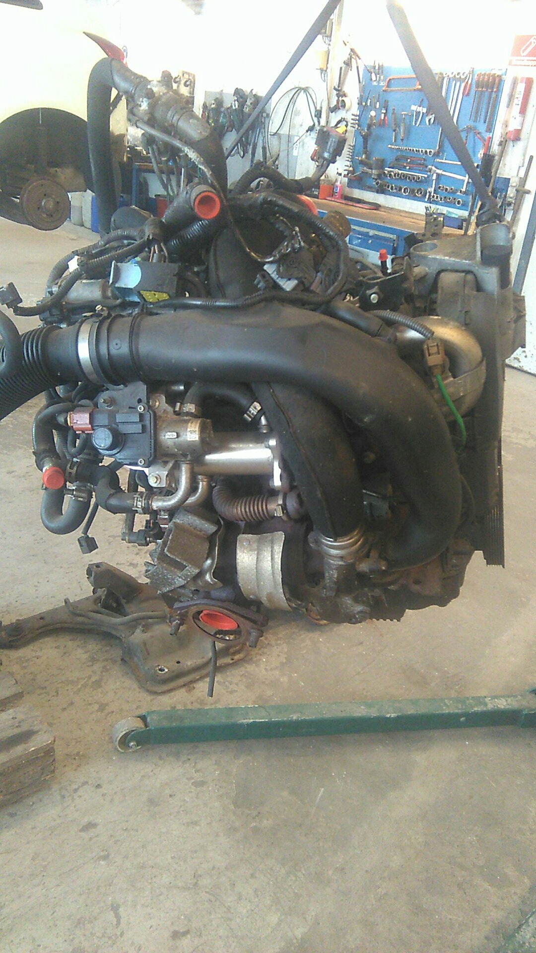 Nissan NOTE (E11, NE11) Motor 1010200Q7L, K9K / APV / TYPE TIL DPF