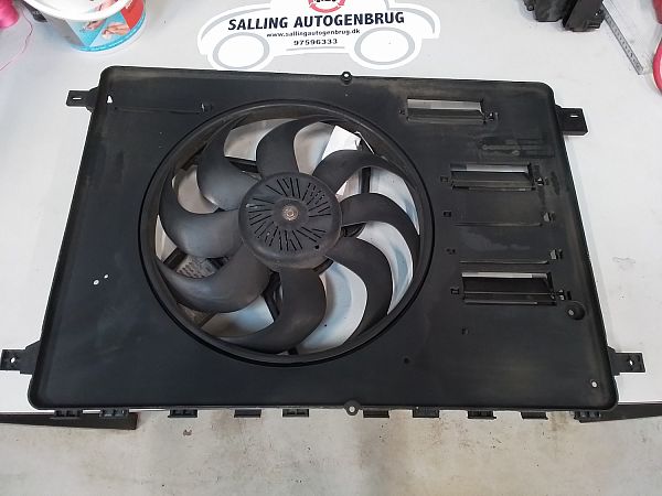 2084887 : Koelvin / Vin - Autoparts24