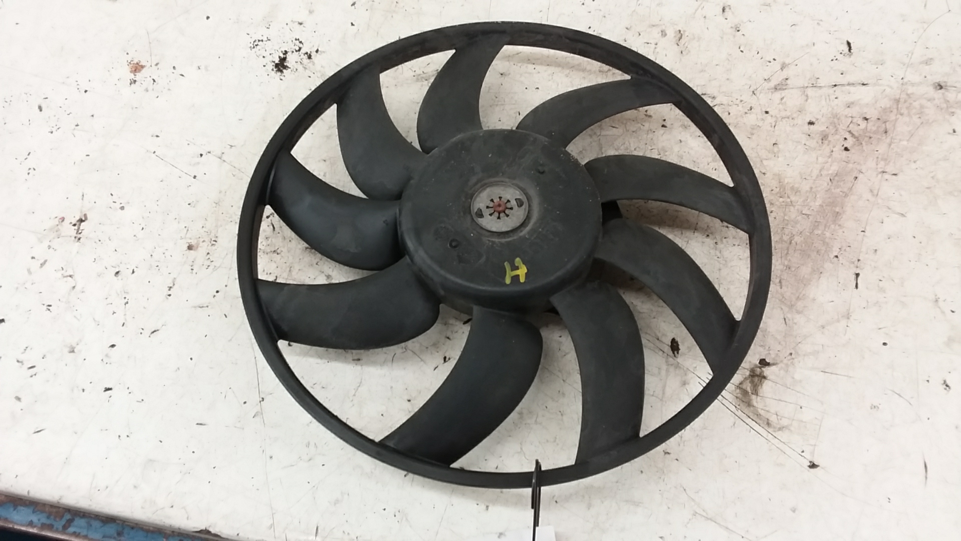 VENTOLA RADIATORE ELETTRICA ORIGINALE AUDI A4 Avant (8K5, B8) 2008