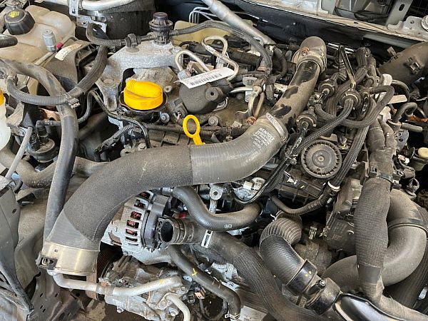 Brugt Renault Megane - turbo / intercooler slange | Autoparts24