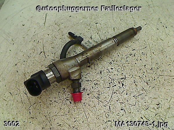 8200294788 : Einspritzdüse - Autoparts24