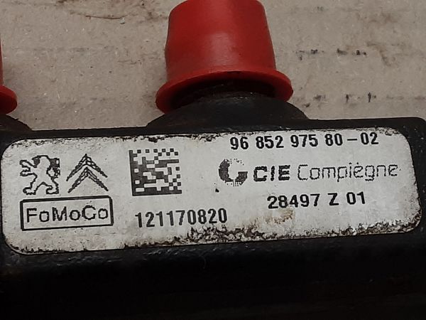 1697684 : Rail bro / indsprøjtningsdyserør og Dyserør - Autoparts24