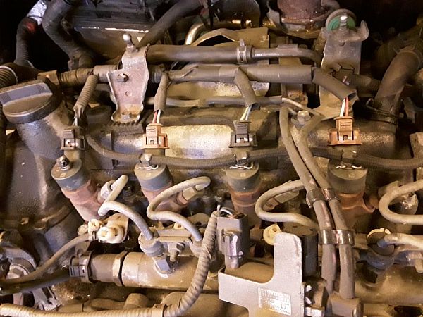 0445110262 : Verstuiver / Injector - Autoparts24