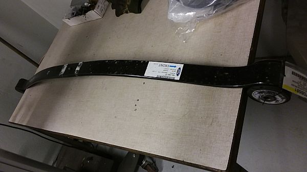 FK215560CA : Bladveer (achterveer), achter - Autoparts24