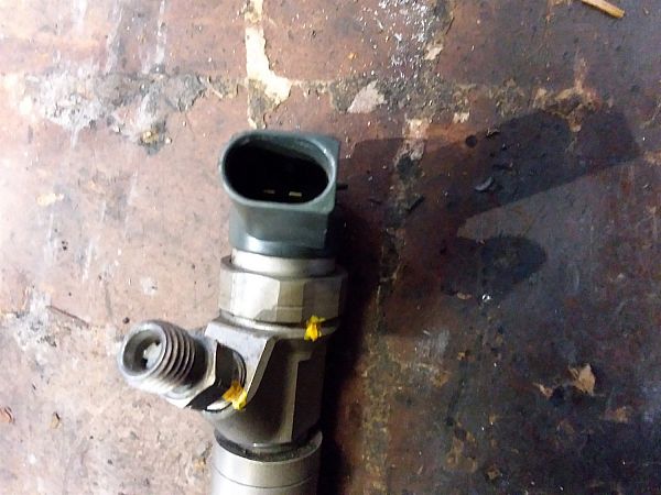 0445110131 : Verstuiver / Injector - Autoparts24