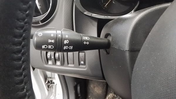 255401303R: Kontakt - blinklys, Lyskontakt, Kontakt - kombi, - Autoparts24