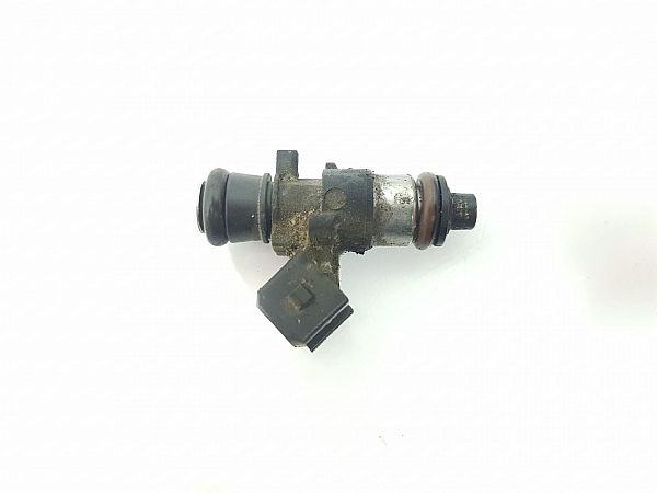 Renault Modus - Verstuiver / Injector Modus | Autoparts24