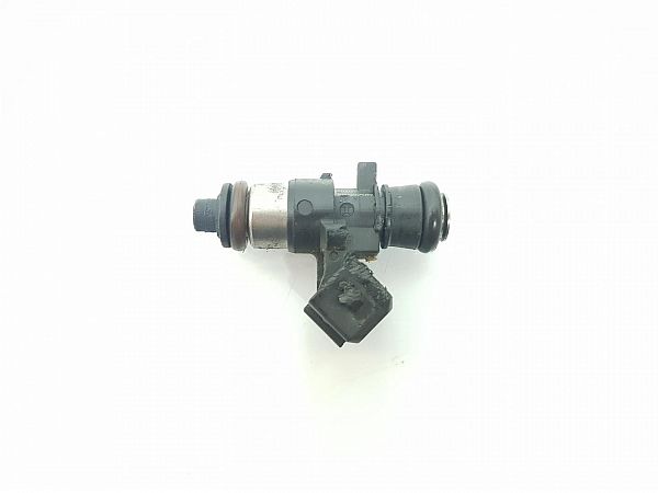 Renault Modus - Verstuiver / Injector Modus | Autoparts24