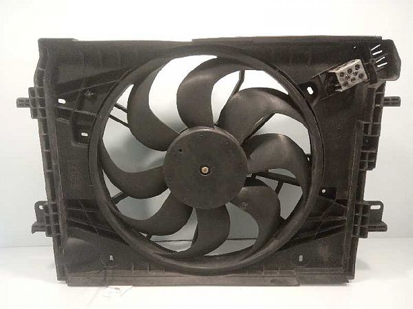 214818665R : Kühlergebläse elektrisch - Autoparts24