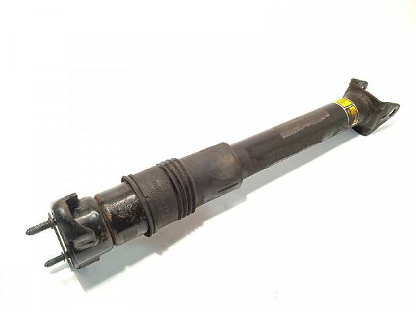 A2513200631 : Støddæmper - bag - Autoparts24