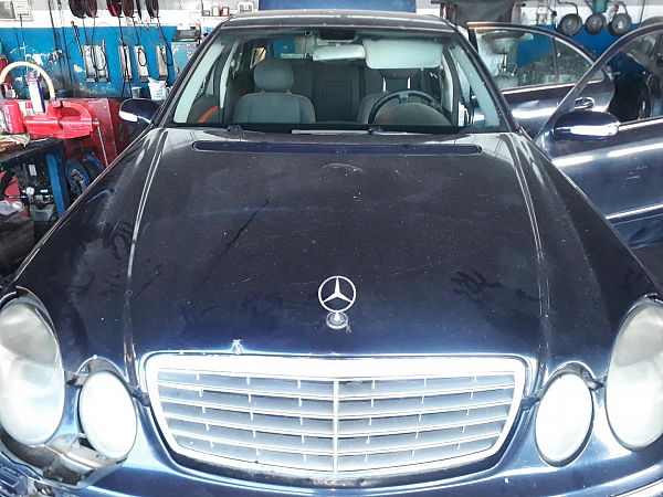 Carbodies - Motorkap | Autoparts24