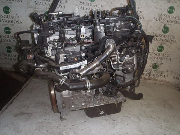 8H01 : Motor - Autoparts24