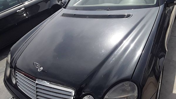 Carbodies - Motorkap | Autoparts24