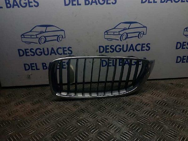 Brugt BMW 4 - kølergitter | Autoparts24