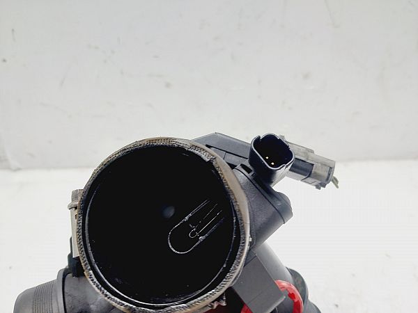 9655971880 : Drosselklappe und Drosselklappenstellmotor - Autoparts24