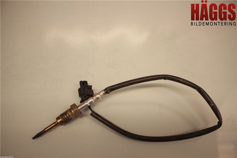 7805606 : Sensor temperatuur / druk - uitlaat en Lambda sonde - Autoparts24