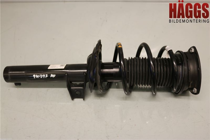 5QF413031BF : Fjederben for - Autoparts24