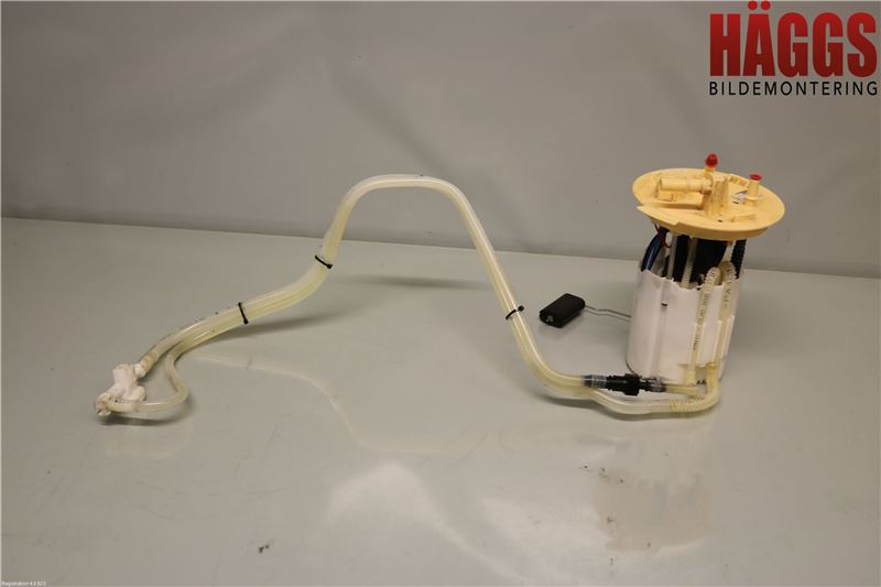 Ford S-max - brandstofpomp Smax | Autoparts24