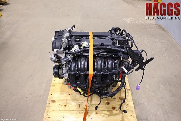 Ford KA+ - Motor KA+ | Autoparts24