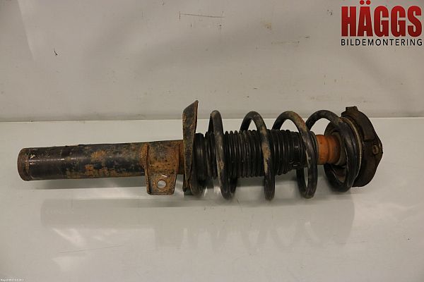 3C0413031BB : Veerpoot voor - Autoparts24