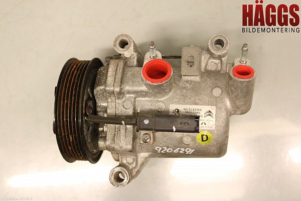 9830148880 : Airconditionpumpe og Kompressorpumpe - Autoparts24