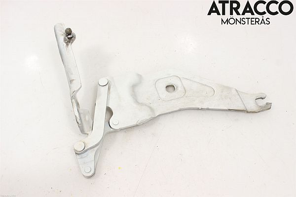BMW X6 - Motorkap scharnier X6 | Autoparts24