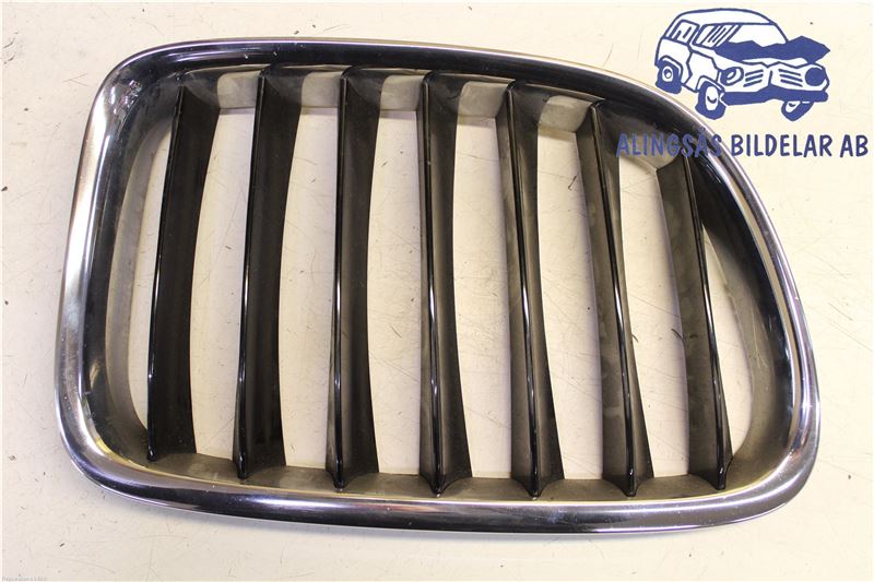 BMW X1 Kühlergrill gebraucht kaufen | Autoparts24