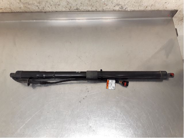 31455987 : Bagklap styreenhed og Bagklapsdæmper - Autoparts24