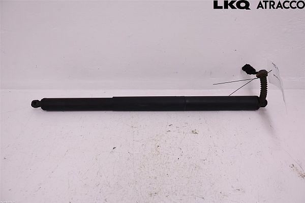 BMW X1 Heckklappe steuergerät gebraucht kaufen | Autoparts24