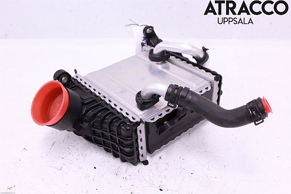 A6540904101 : Luchtkoeling bagage en verwarmingselement - Autoparts24