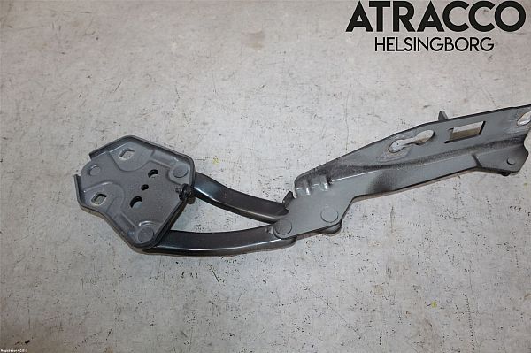 31356752 : Motorhauben Schanier - Autoparts24