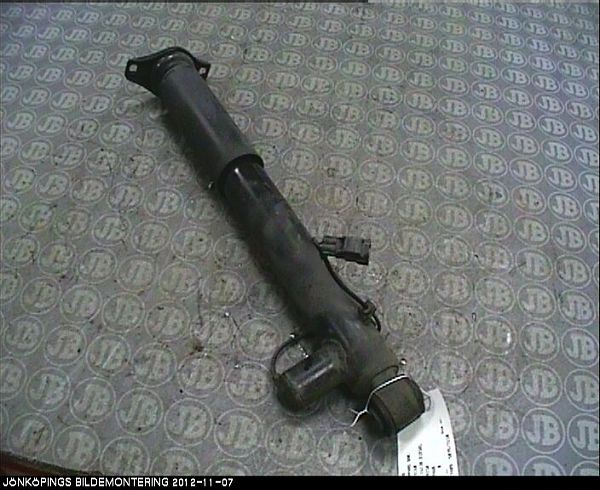 31317460 : Stossdämpfer hinten - Autoparts24