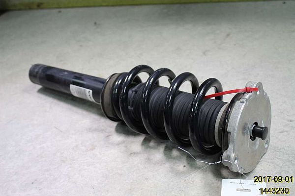 31451830 : Veerpoot voor - Autoparts24