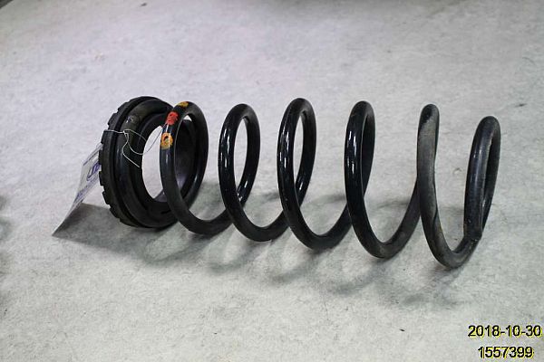 31280482 : Bagfjeder - Autoparts24