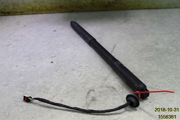 31385256 : Bagklapsdæmper og Bagklap styreenhed - Autoparts24