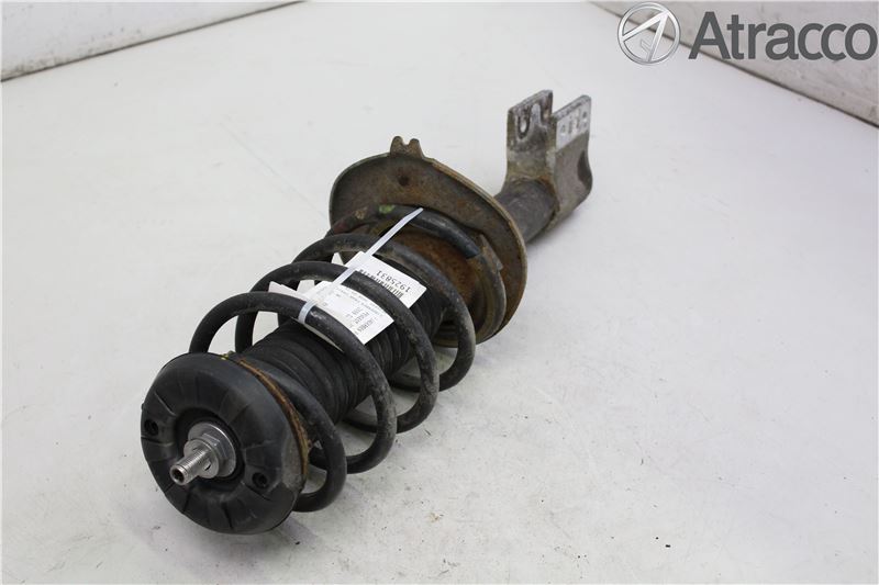 5002-TH : Voorveren, links en rechts en Veerpoot voor - Autoparts24