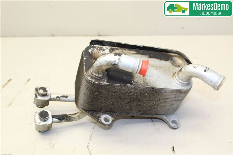 Ford Ranger - Oliekoeler Ranger | Autoparts24