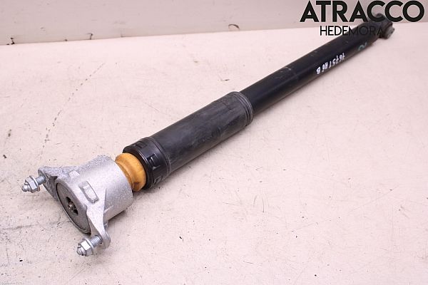 A1563200231 : Stossdämpfer hinten - Autoparts24