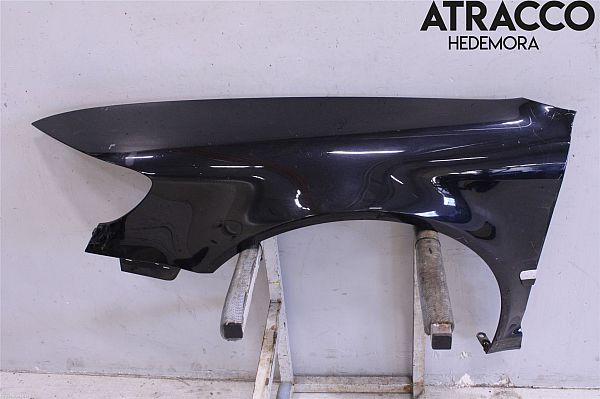 VW Phaeton Kotflügel vorne links gebraucht kaufen | Autoparts24