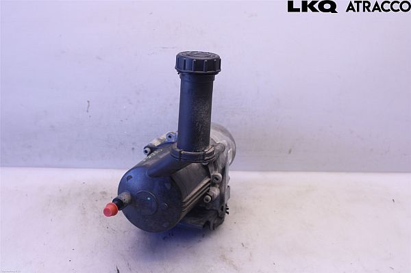 Citroën DS4 - Power steering pump DS4 - Autoparts24