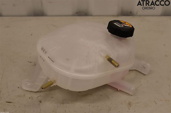 25430S7000 : Ekspansionsbeholder - Autoparts24