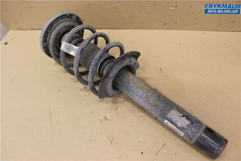 3131-6796315 : Veerpoot voor - Autoparts24