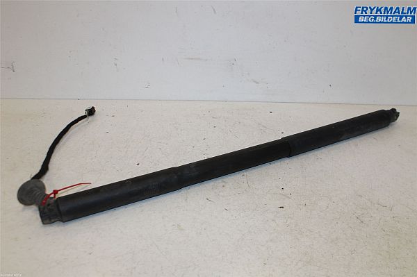 31385256 : Bagklapsdæmper og Bagklap styreenhed - Autoparts24