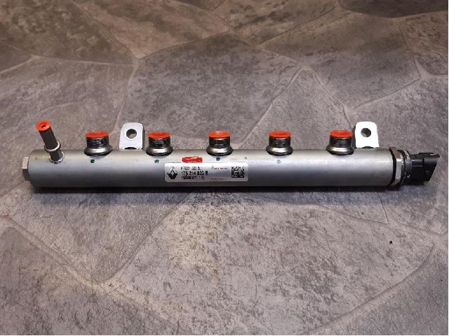 175214823R : Rail bro / indsprøjtningsdyserør - Autoparts24