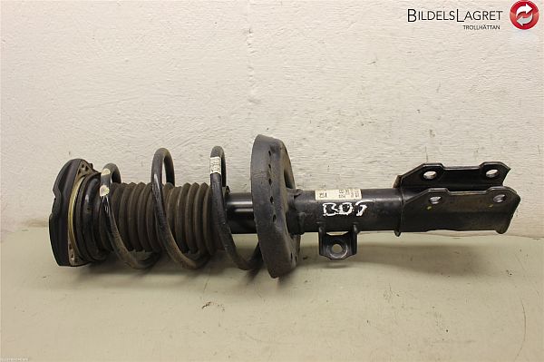13367033 : Voorveren, links en rechts en Veerpoot voor - Autoparts24